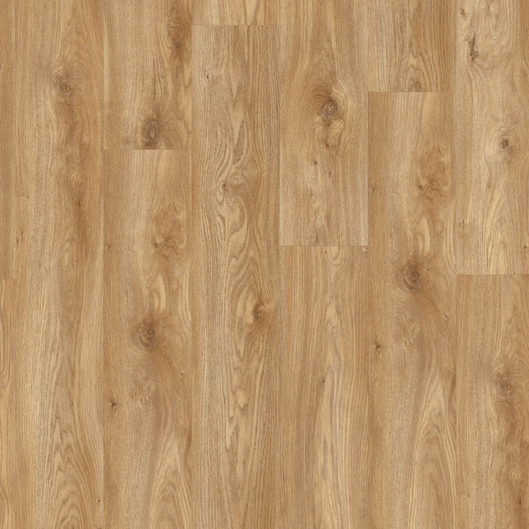 Moduleo Roots 55 EIR Hout | LaminaatenParket
